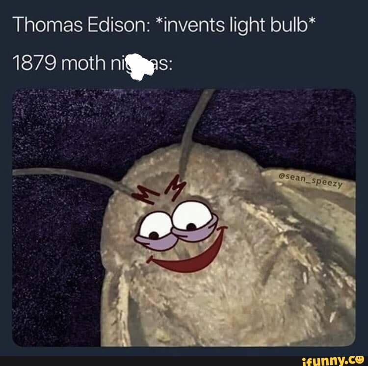 Thomas Edison: *invents light bulb* 1879 moth - iFunny