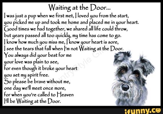 Waiting at I was just a pup when we first met, I loved you from the ...