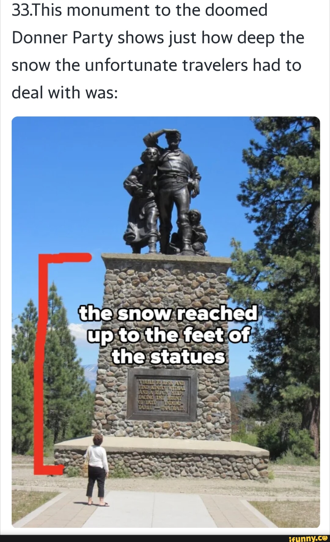 Donner memes. Best Collection of funny Donner pictures on iFunny