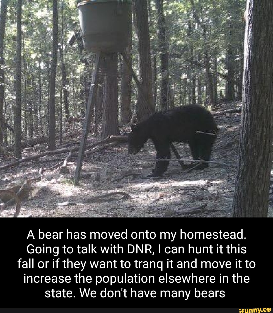 Tranq memes. Best Collection of funny Tranq pictures on iFunny