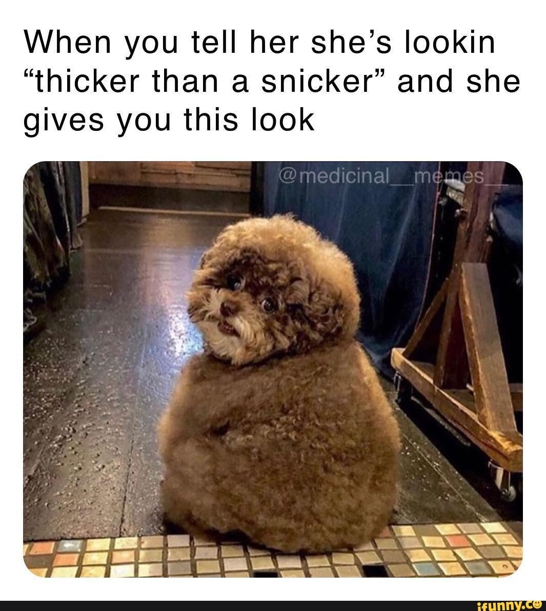 Thicc - When you tell her she's lookin "thicker than snicker" and she ...