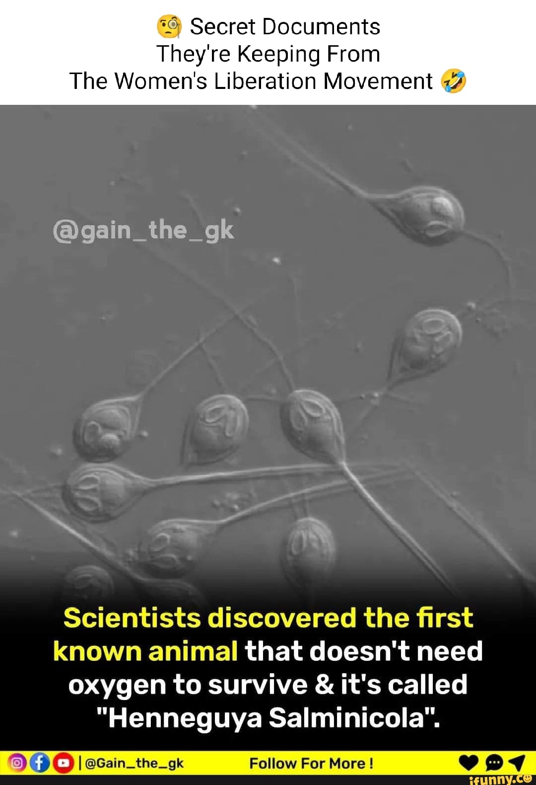 Secret Documents They're Keeping From The Women's Liberation Movement ...