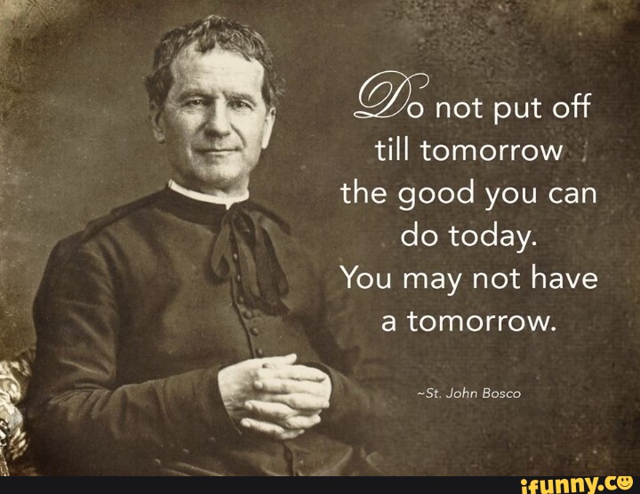 Bosco memes. Best Collection of funny Bosco pictures on iFunny