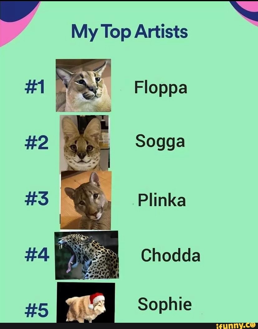 Chodda memes. Best Collection of funny Chodda pictures on iFunny