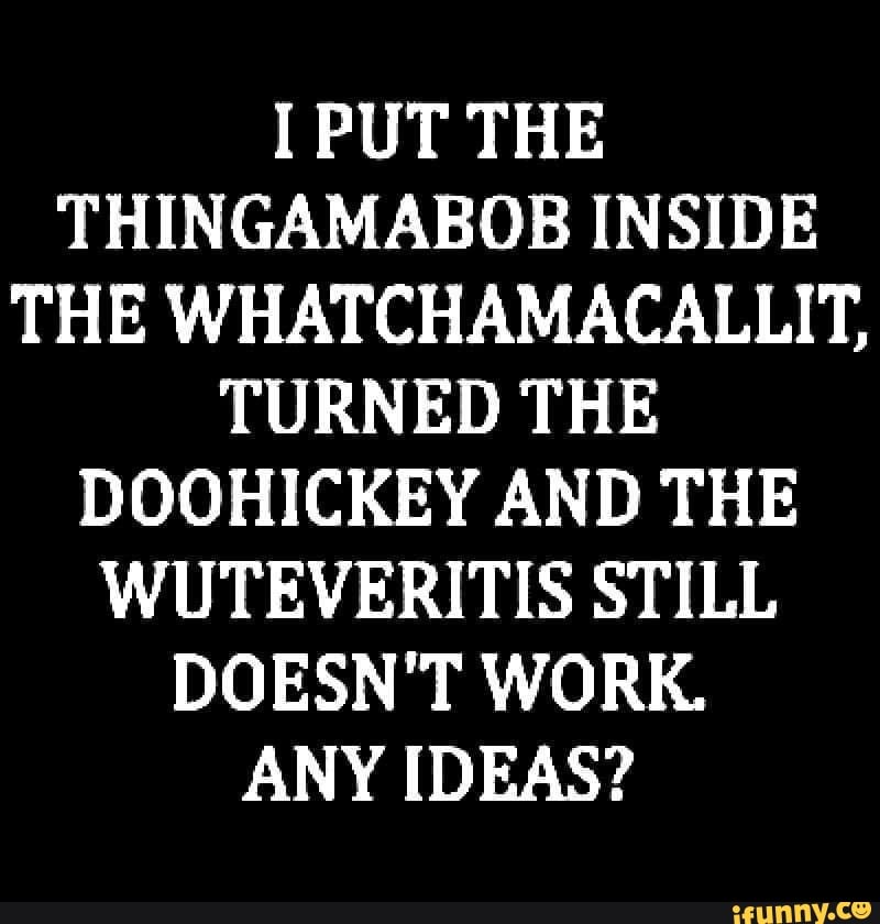 Anybody dare to smile or respond - PUT THE THINGAMABOB INSIDE THE ...