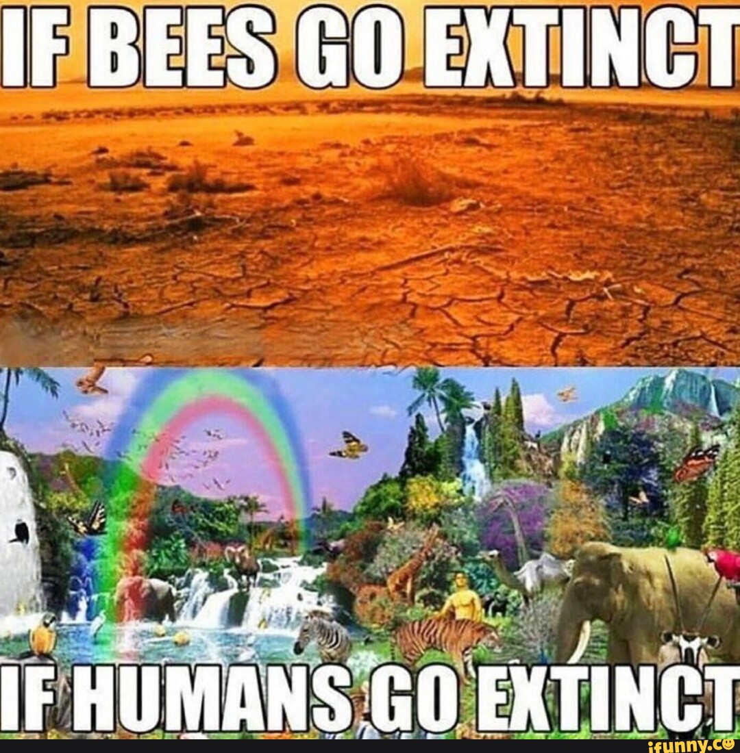 IF BEES GO EXTINCT IF HUMANS Go EXTINCT - iFunny