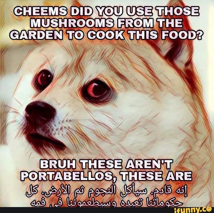 GAOE N GOOK TH'S F THESE BRENT PORTAREL OS, THESE ARS Ol of 3 Blye - iFunny