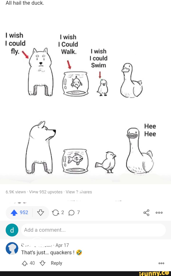 Quackers memes. Best Collection of funny Quackers pictures on iFunny