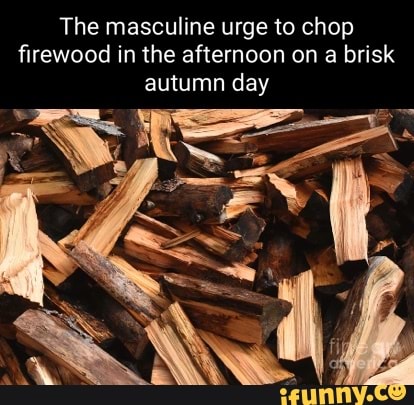 Video memes hcNaq3At6 by willing: 408 comments - )