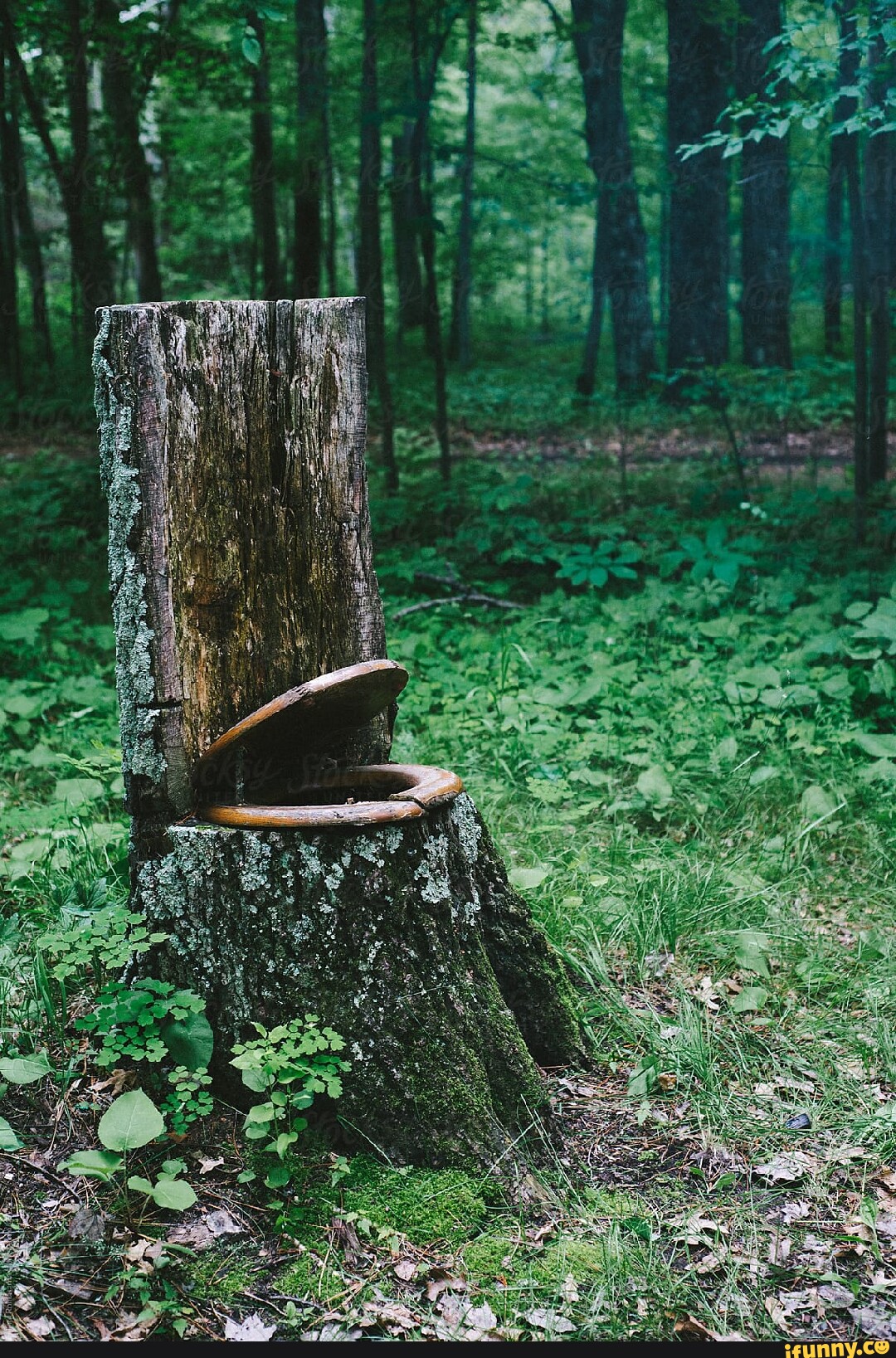 Picture memes MCbEDmTKA by LogClog: 3 comments - iFunny