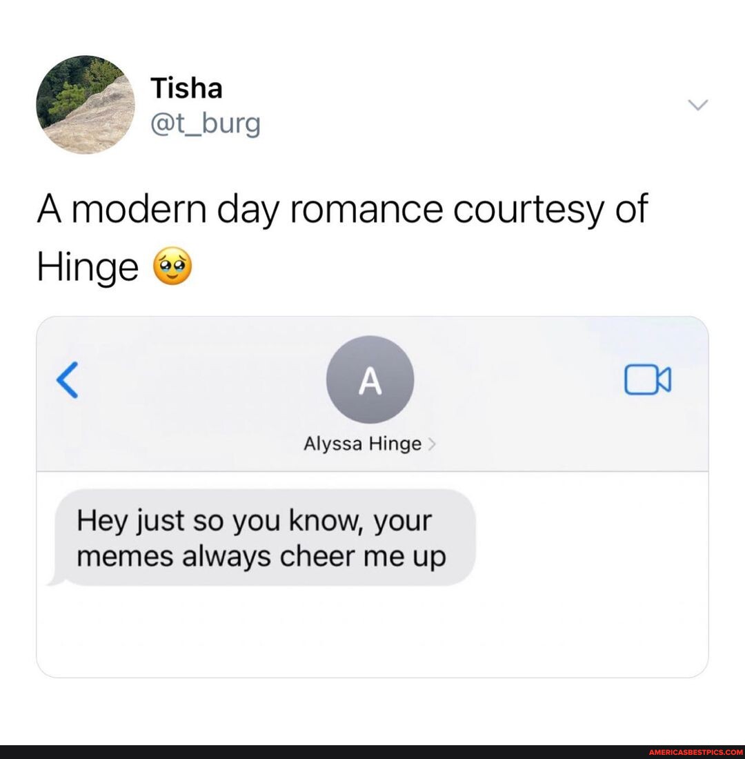 Memes are the highest level love language #hingepartner # ...