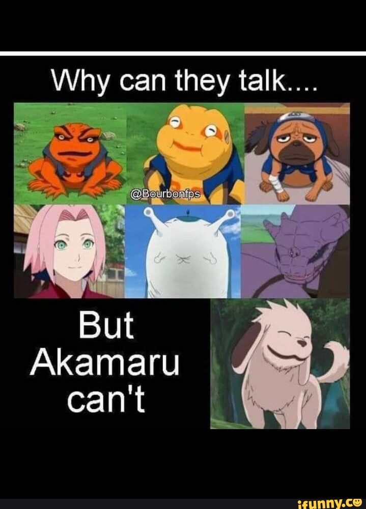 Akamaru memes. Best Collection of funny Akamaru pictures on iFunny