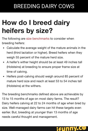 BREEDING DAIRY COWS How do I breed dairy heifers by size? The following ...