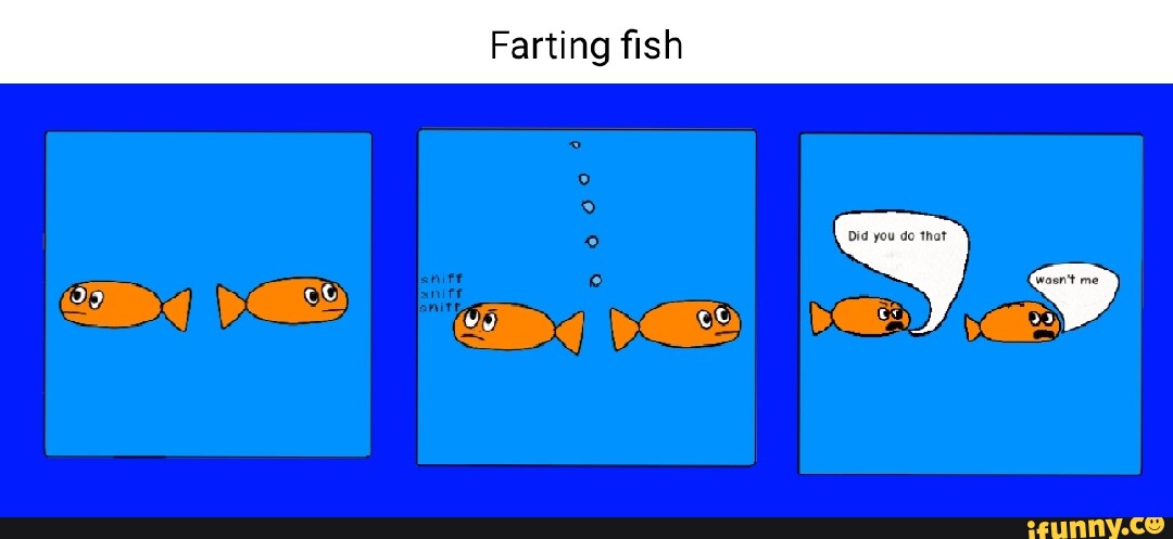 Farting fish - iFunny