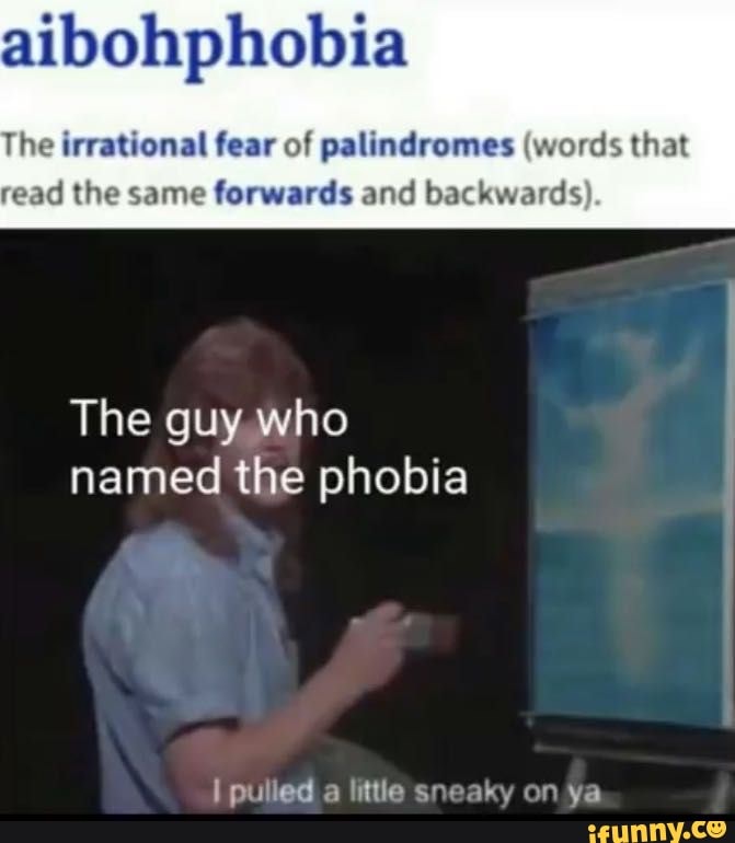 Aibohphobia The Irrational Fear Of Palindromes words That Read The