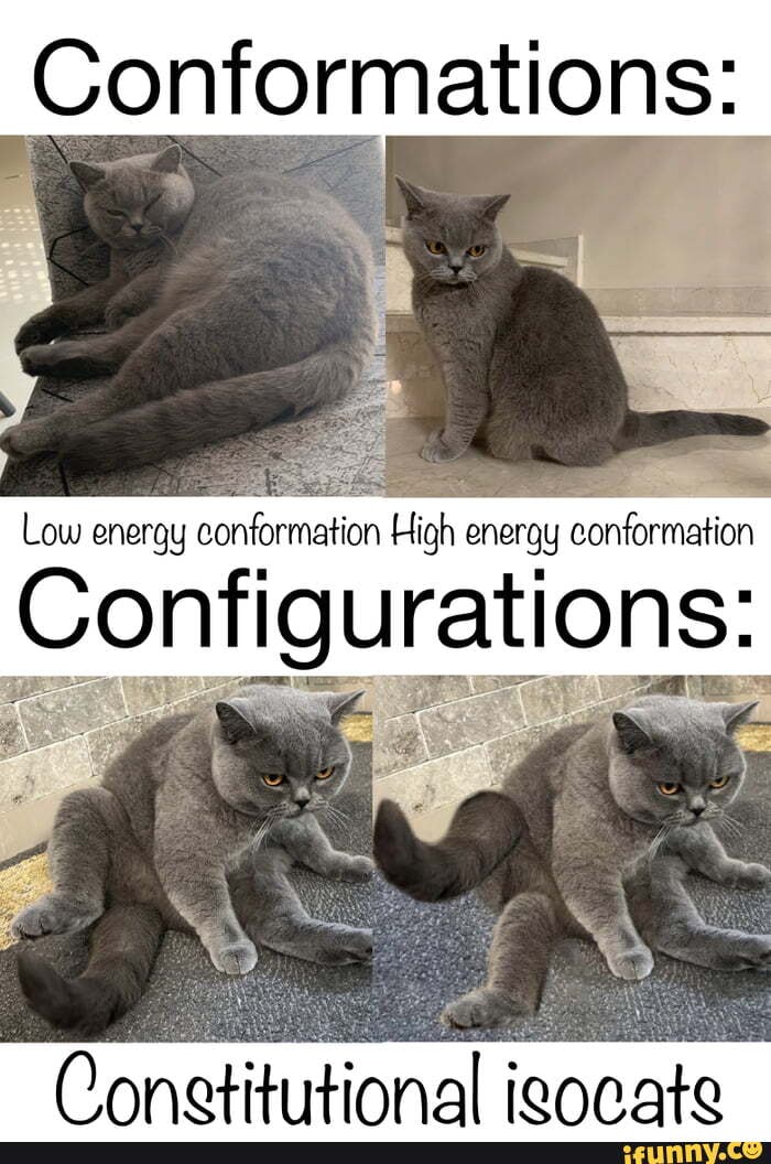 Conformation memes. Best Collection of funny Conformation pictures on ...