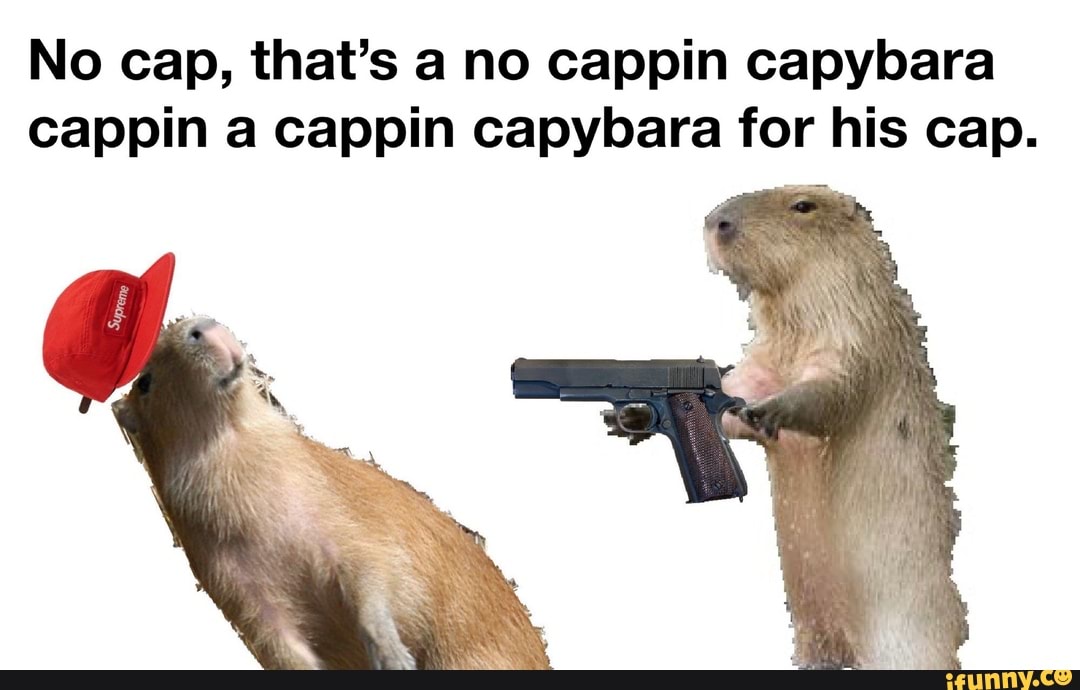 No cap, that's a no cappin capybara cappin a cappin capybara for his ...
