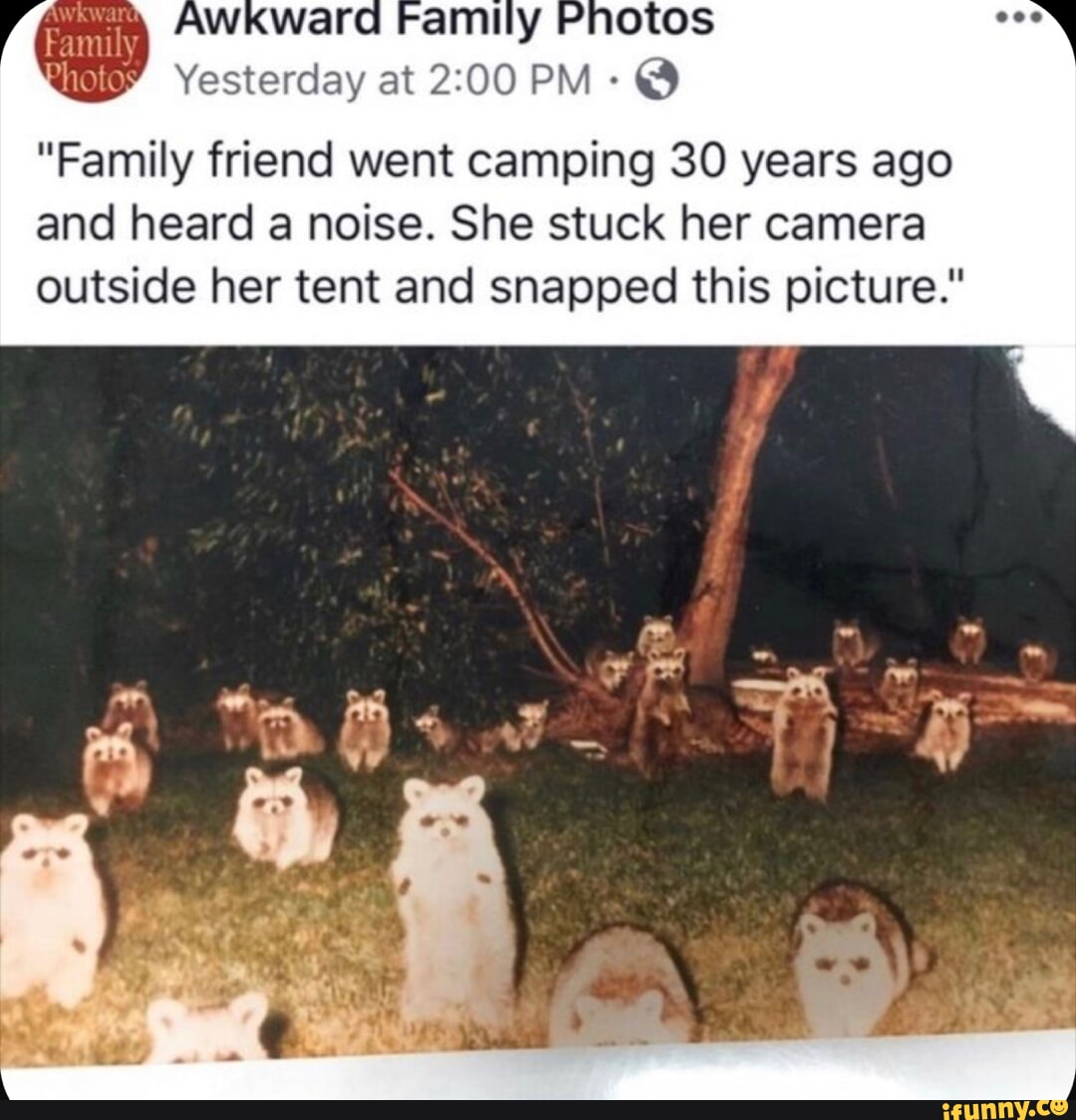 Picture memes n2222H3sA by KingFlamingo: 4 comments - iFunny