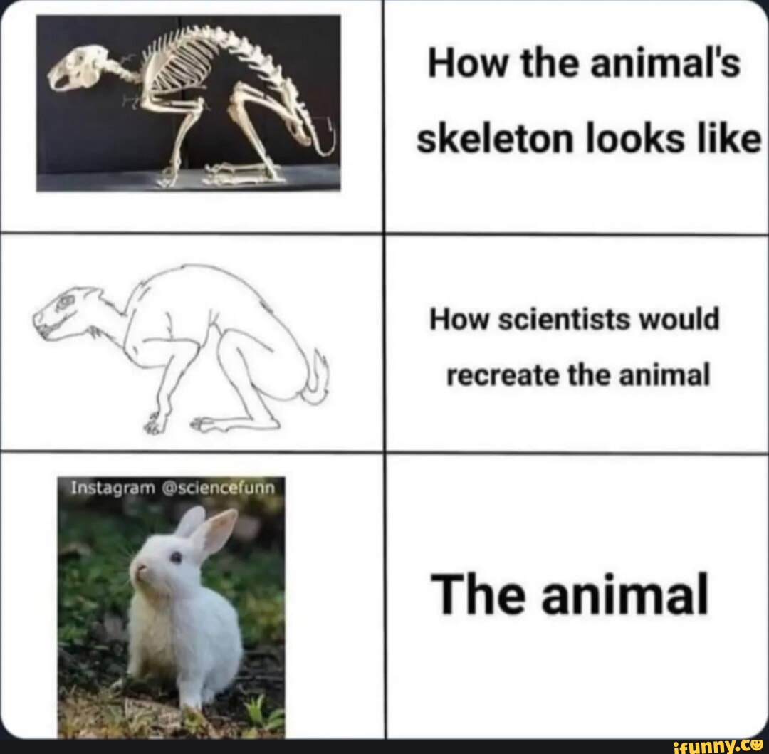 How the animal's skeleton looks like How scientists would recreate the ...