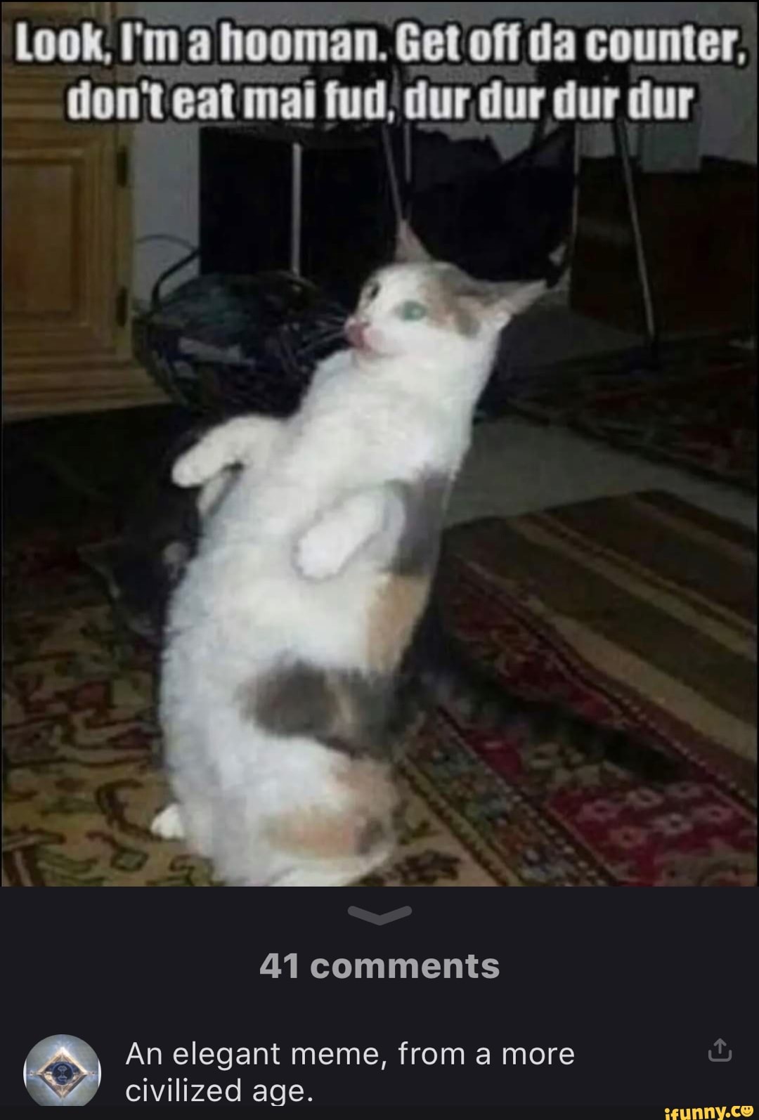 Look, I'm a hooman. Get off da counter, don't eat mai fud, dur cur dur ...