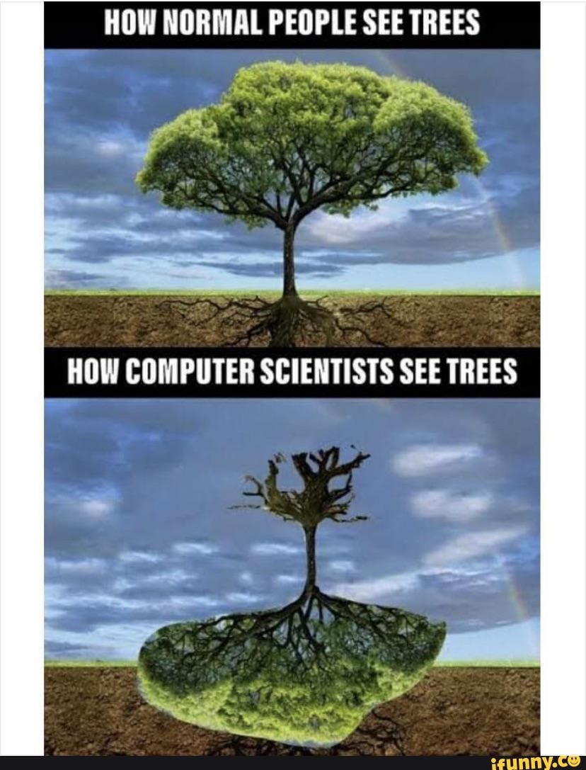 HOW NORMAL PEOPLE SEE TREES HOW COMPUTER SCIENTISTS SEE TREES AS - iFunny