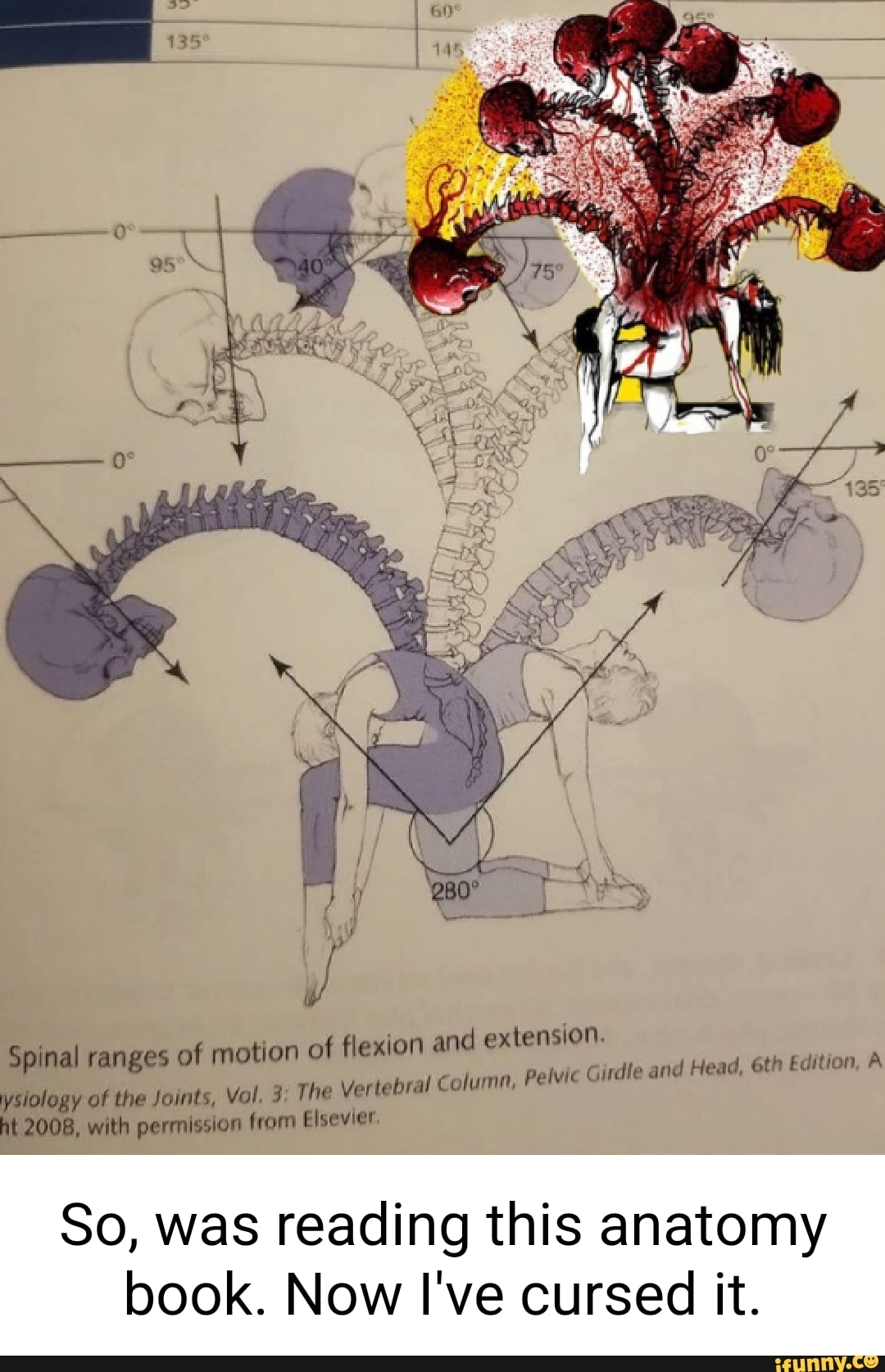 Flexion and extension. pelvic Girdle and Head, Edition, A Spinal ranges ...