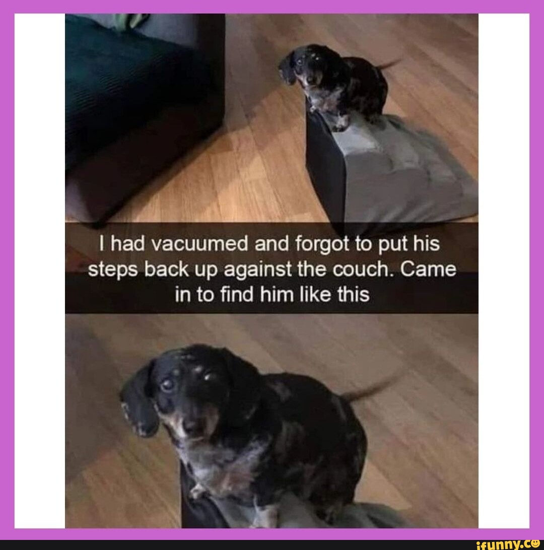 I I had vacuumed and forgot to put his steps back up against the couch ...