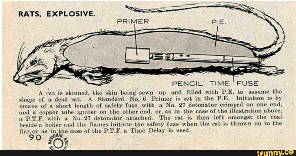 RATS, EXPLOSIVE. PRIMER PENCIL TIME FUSE A rat is skinned, the skin ...