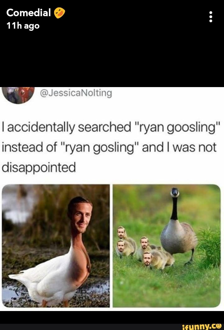 11h ago Iaccidentally searched "ryan goosling” instead of "ryan gosling ...