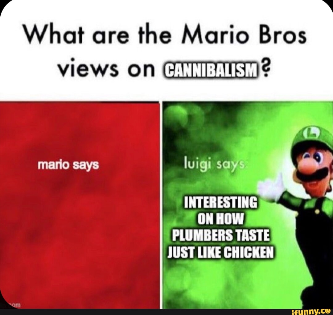 4 'N What are the Mario Bros views on mario says luigi says INTERESTING ...