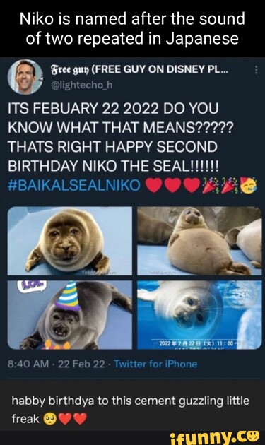 Niko is named after the sound of two repeated in Japanese ITS FEBUARY ...