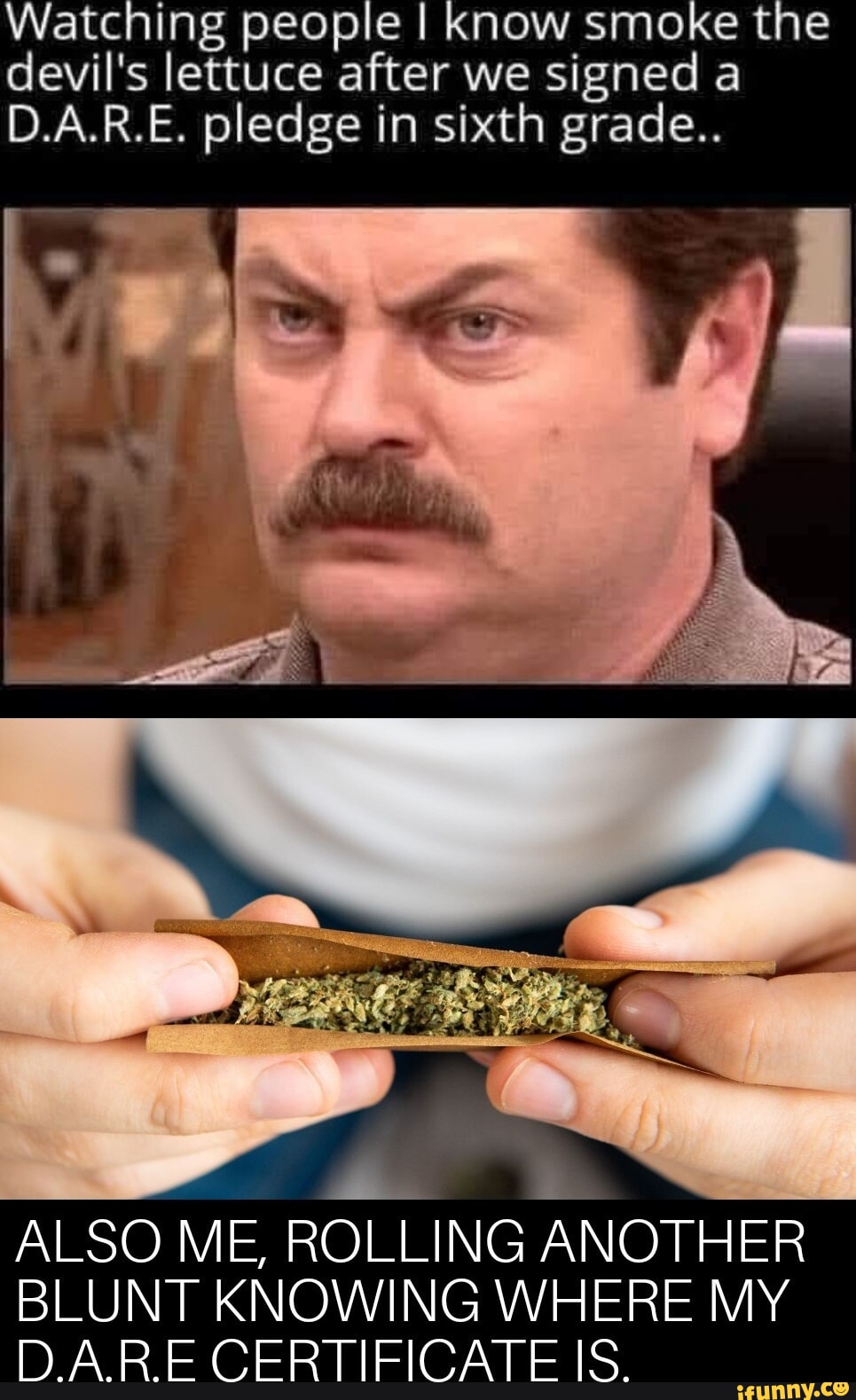 Certificate memes. Best Collection of funny Certificate pictures on iFunny