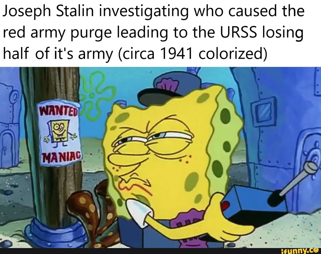 Joseph Stalin investigating who caused the red army purge leading to ...