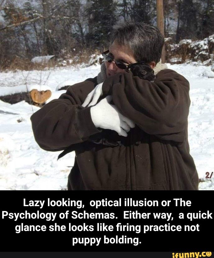 Schemas memes. Best Collection of funny Schemas pictures on iFunny