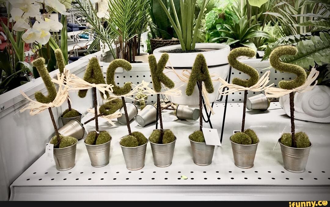 Topiaries memes. Best Collection of funny Topiaries pictures on iFunny