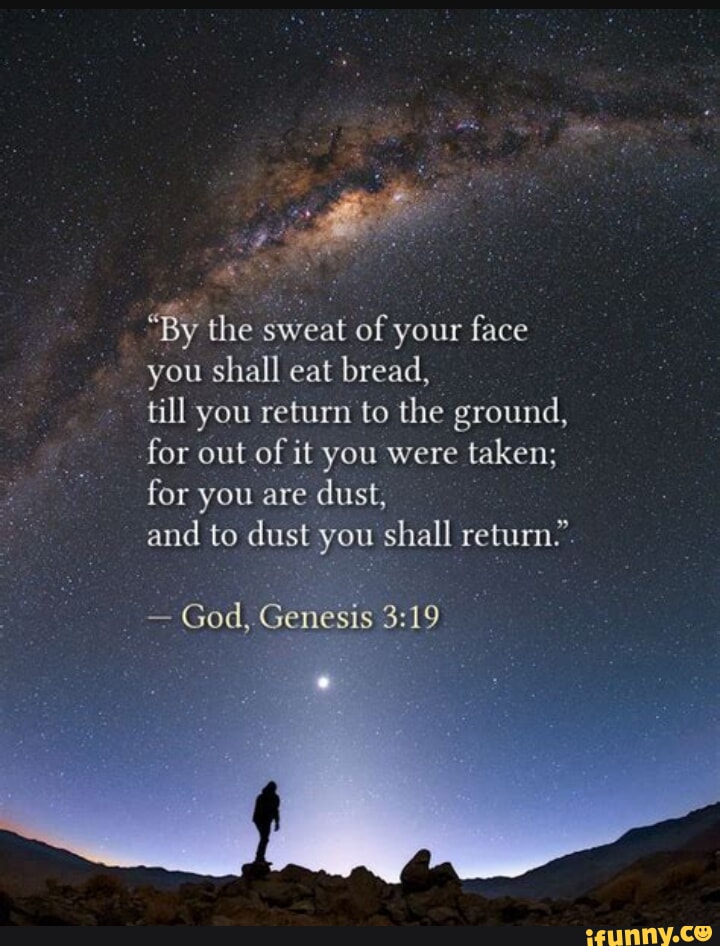 Genesis memes. Best Collection of funny Genesis pictures on iFunny