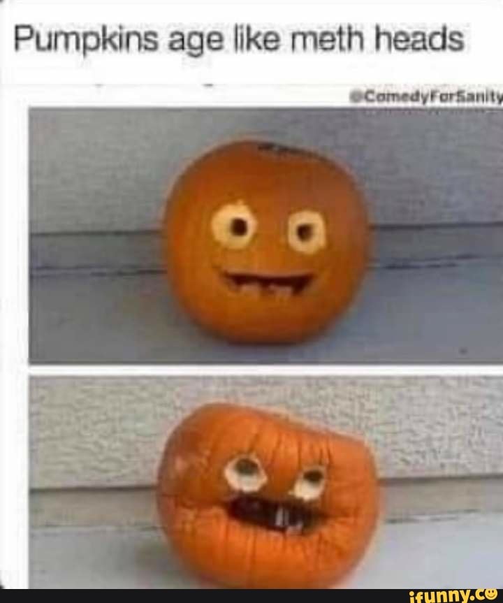 Pumpkins age like meth heads @Comedyf - iFunny