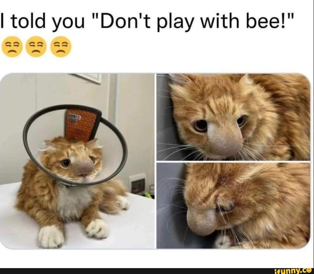 How to Wear a Plate Carrier A @cbrnart Basics Guide Introduction ...