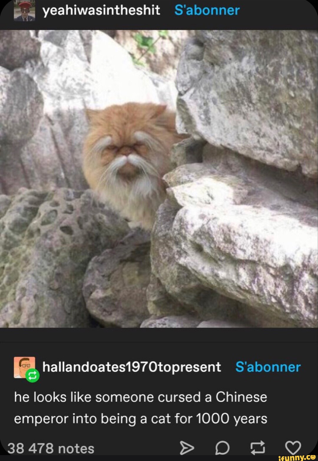 Phage several questions. - iFunny