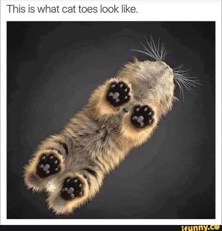 Picture memes di15TWNG6 by cl0wnw0rld: 451 comments - iFunny