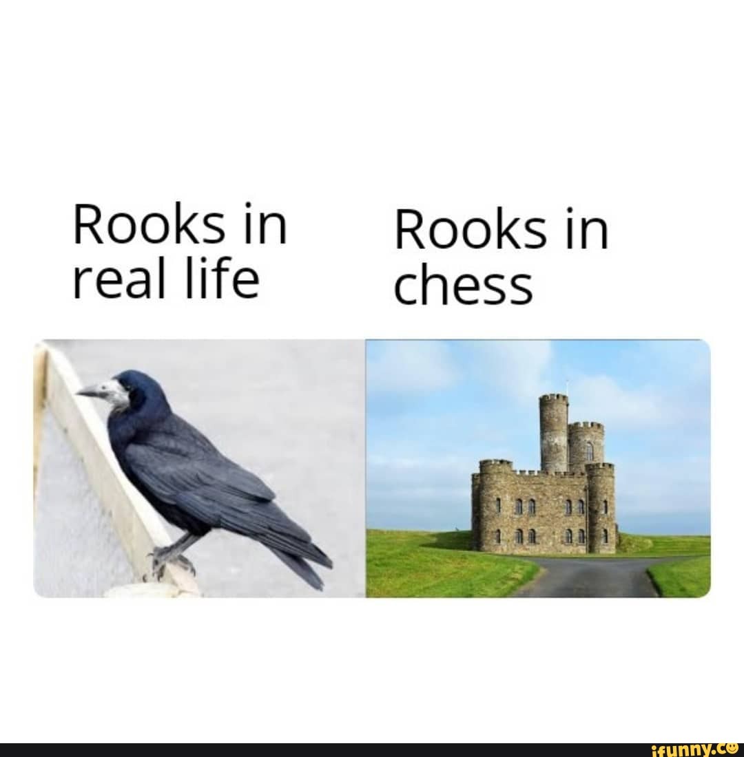 Rooks in Rooks in real life chess - iFunny