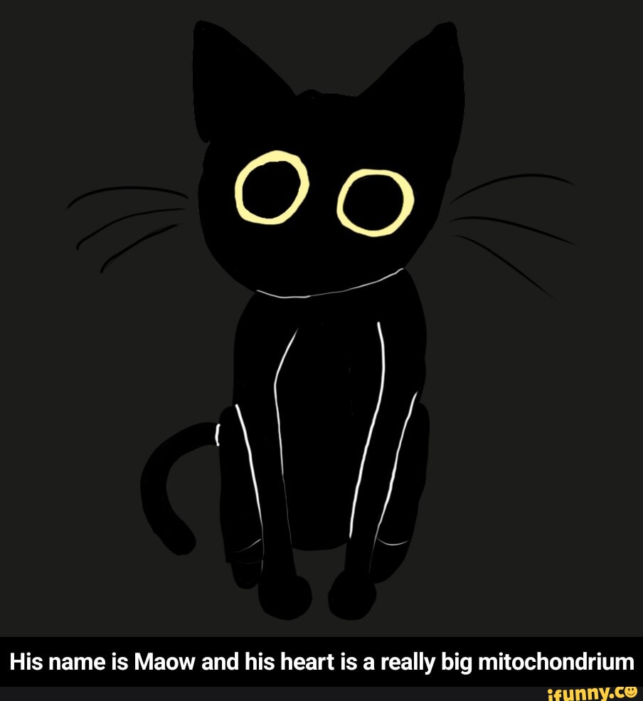 IN His name is Maow and his heart is a really big mitochondrium - His ...