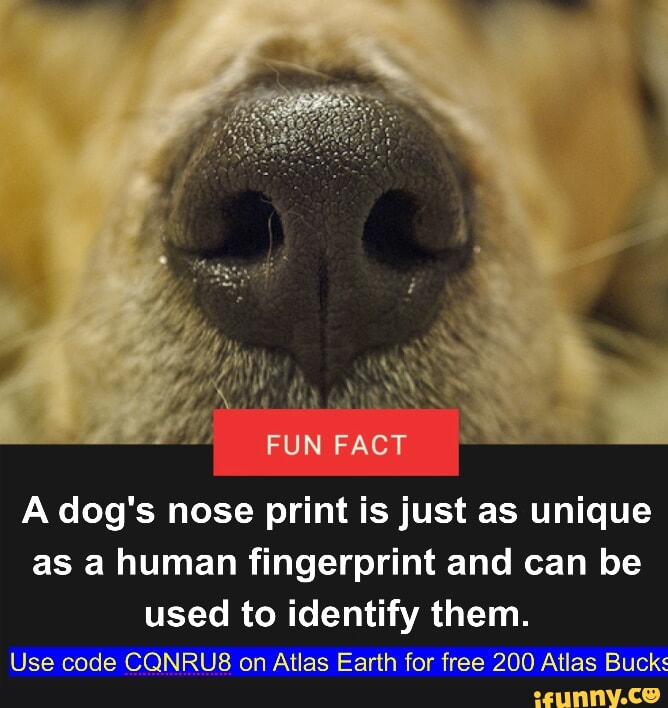 Fingerprint memes. Best Collection of funny Fingerprint pictures on iFunny