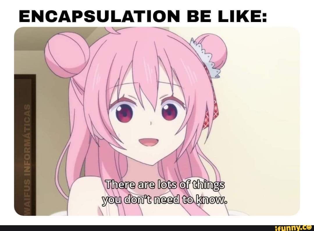 Encapsulation memes. Best Collection of funny Encapsulation pictures on ...