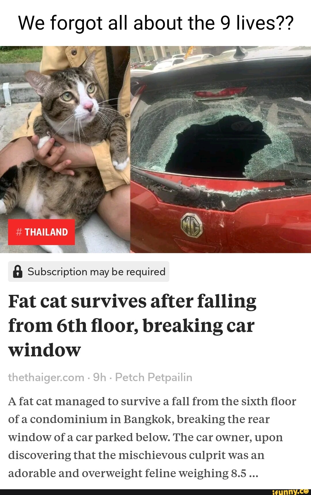 We forgot all about the 9 lives?? THAILAND & Subscription may be ...