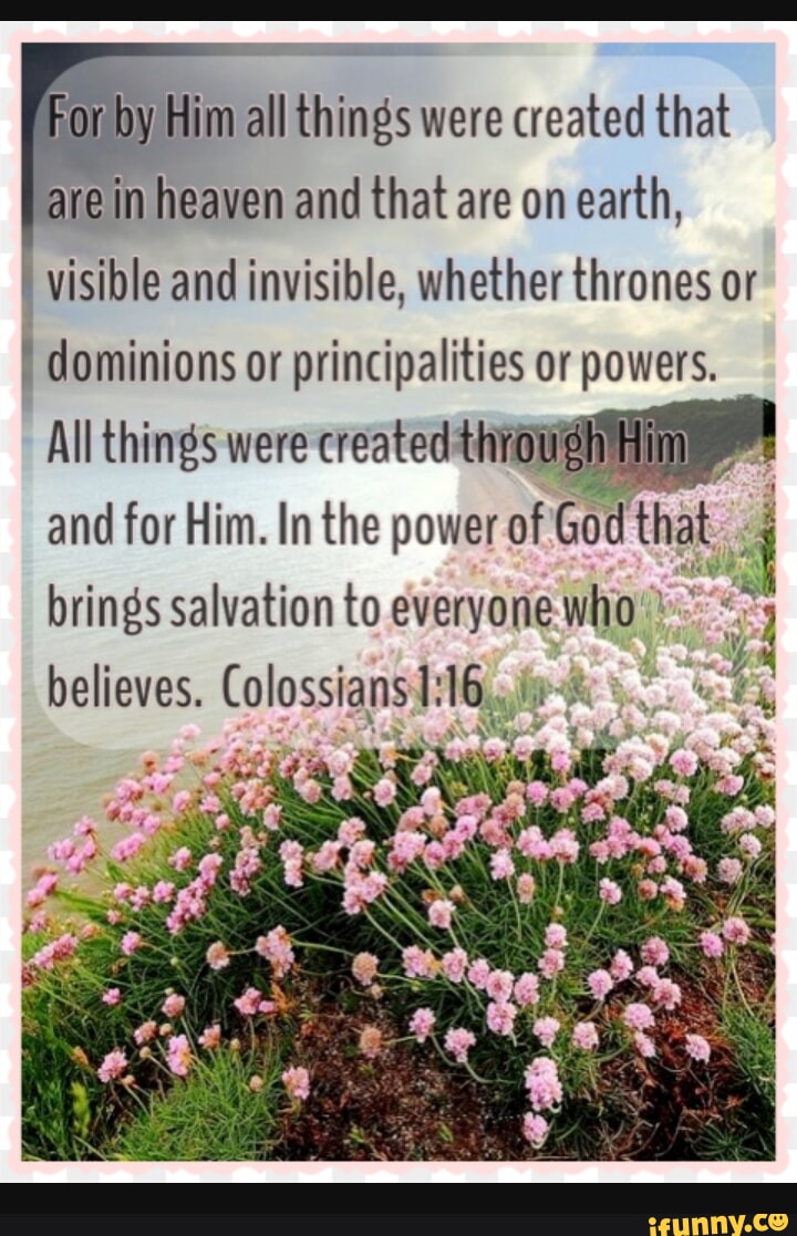 Rein memes. Best Collection of funny Rein pictures on iFunny