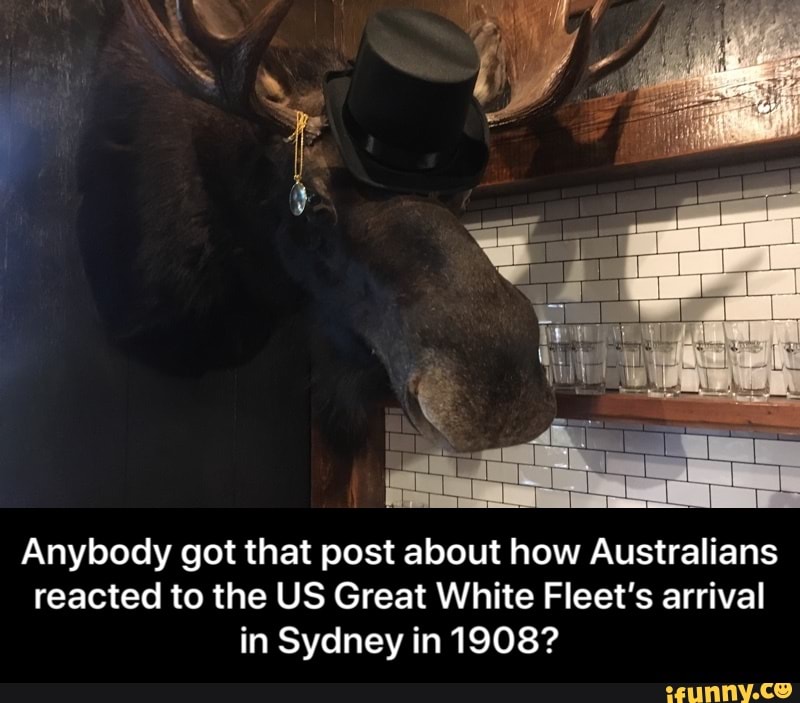 Fleets memes. Best Collection of funny Fleets pictures on iFunny