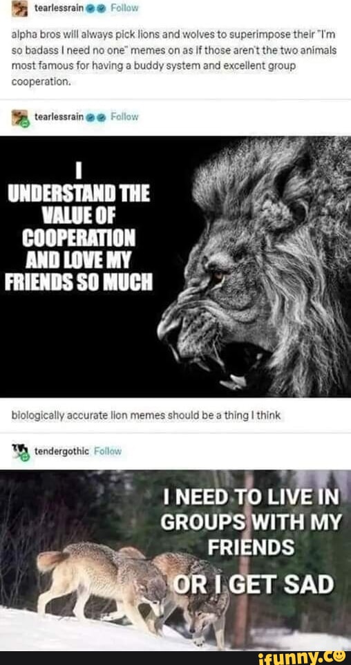 And to fomeus for having buddy group animals tearlessrain UNDERSTANG ...