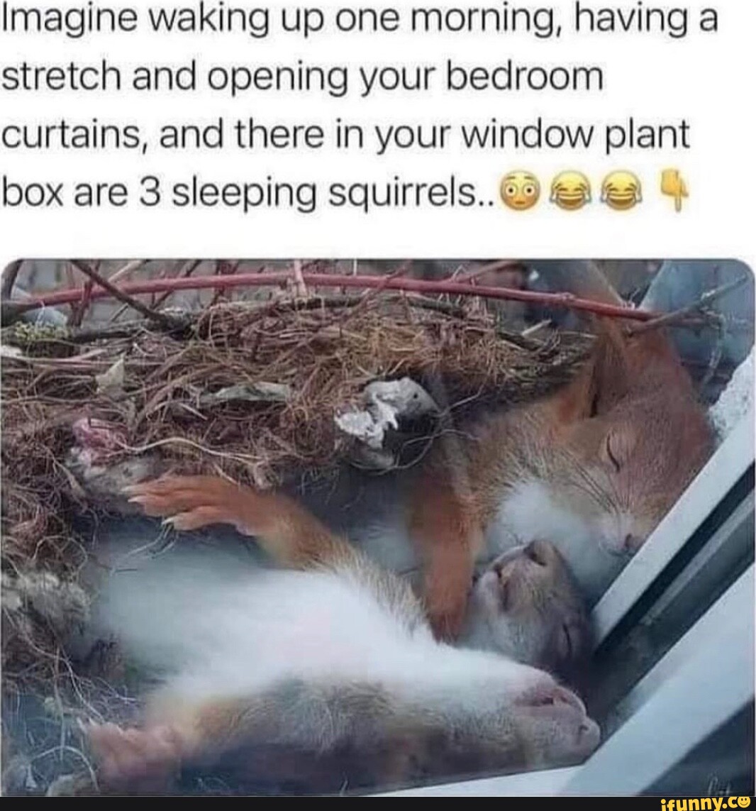 Hi herbert trilogy - iFunny