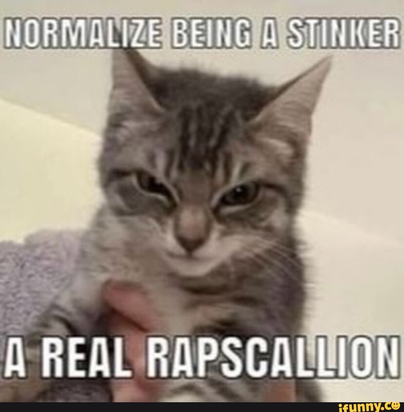 Rapscallion memes. Best Collection of funny Rapscallion pictures on iFunny